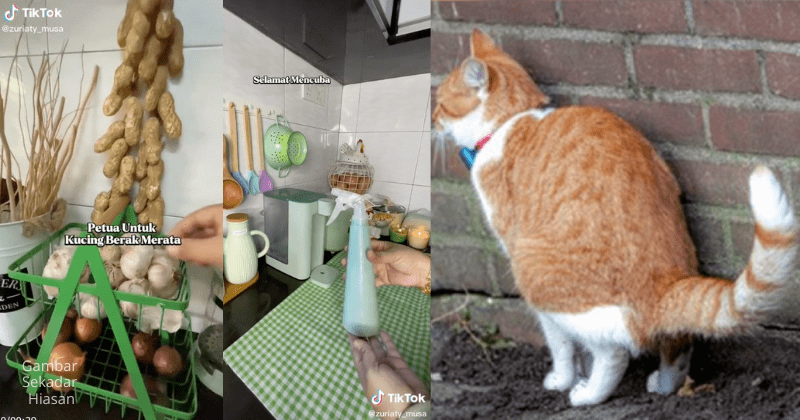 Nak Elakkan Kucing Berak Merata Di Rumah? Cuba 5 Tips Berkesan Ini!