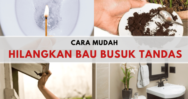 Bau Tandas Selalu Busuk? Ini Cara Mudah Hilangkan Bau Busuk Tandas ...